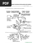 Guía N°3 Partes y Necesidades de Una Planta Ciencias Naturales Tercero ...