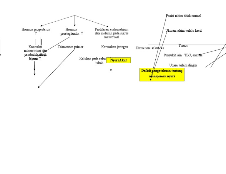 Posisi Rahim yang Tidak Normal dan Pengaruhnya terhadap Menstruasi | PDF