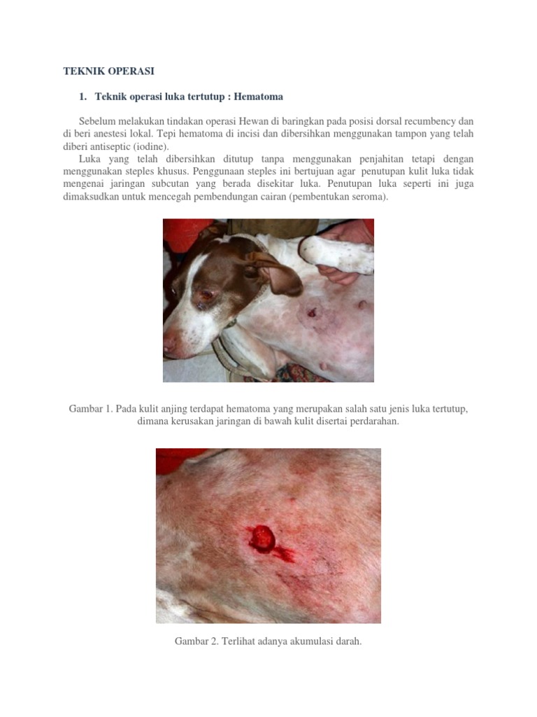 TEKNIK OPERASI Jenis-Jenis Vulnus | PDF