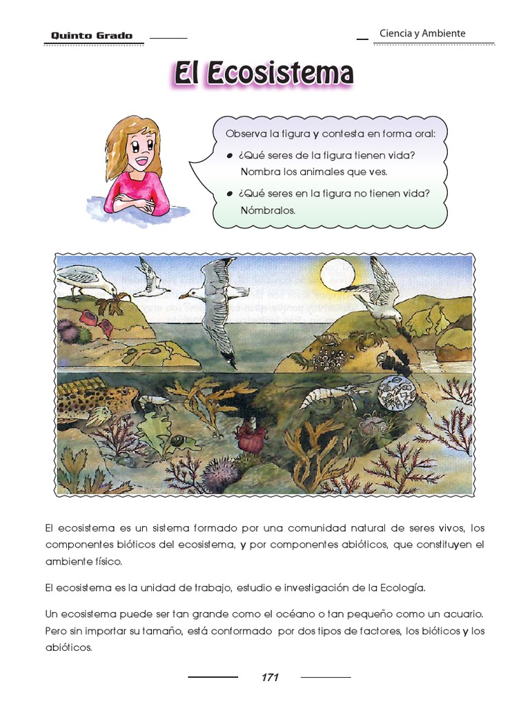 El Ecosistema, Niveles de Organización en Ecología, Hábitat y Nicho Ecológico, Cadena ...