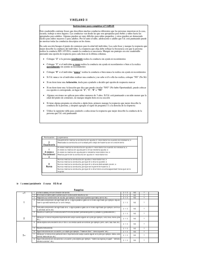 Vineland II Protocolo Español Excel | PDF | Estufa de cocina | Imprenta