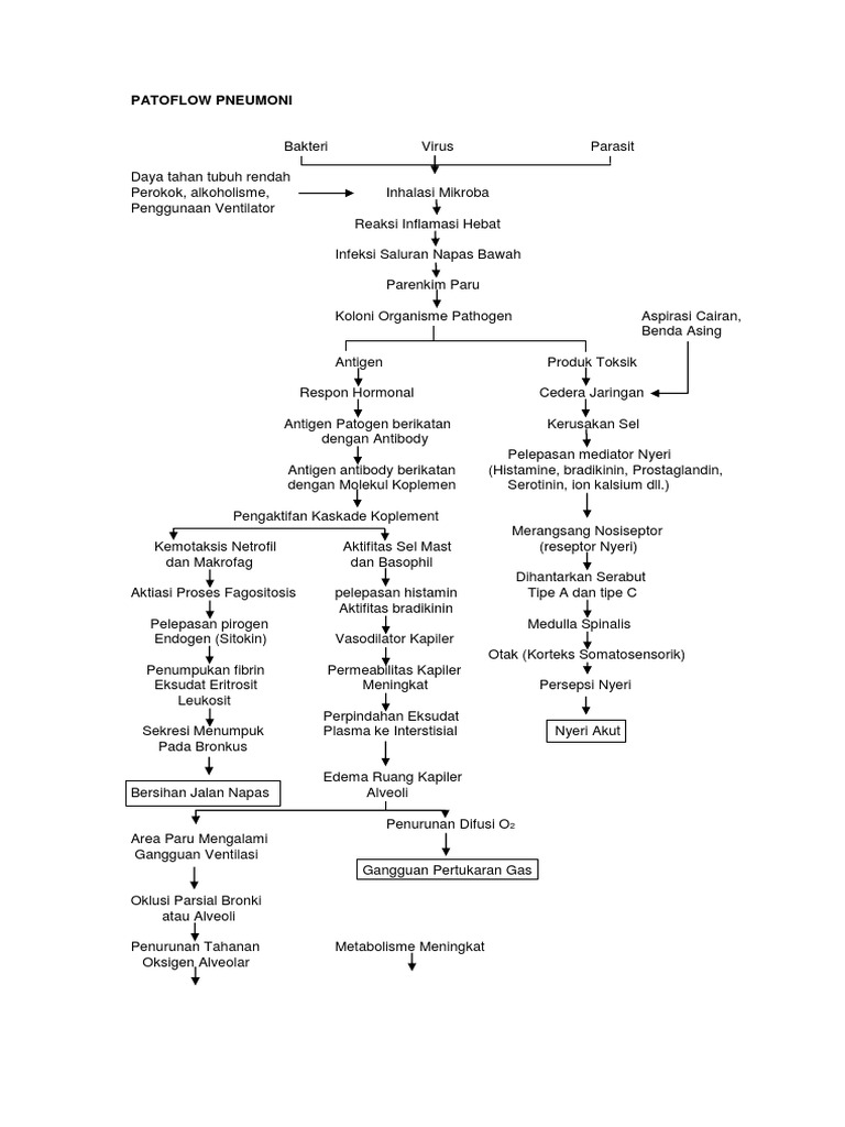 Patoflow Pneumonia Kasus - Edit | PDF