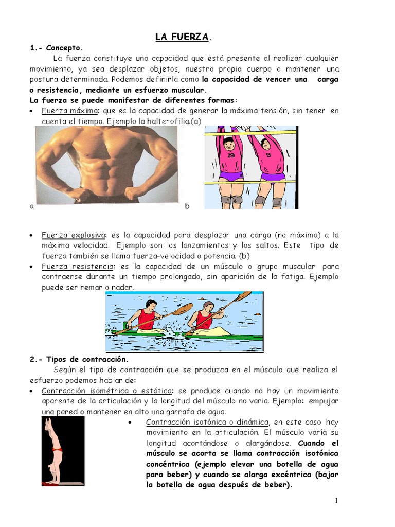Tipos y Ejemplos de Fuerza Muscular | PDF | Contracción muscular | Músculo