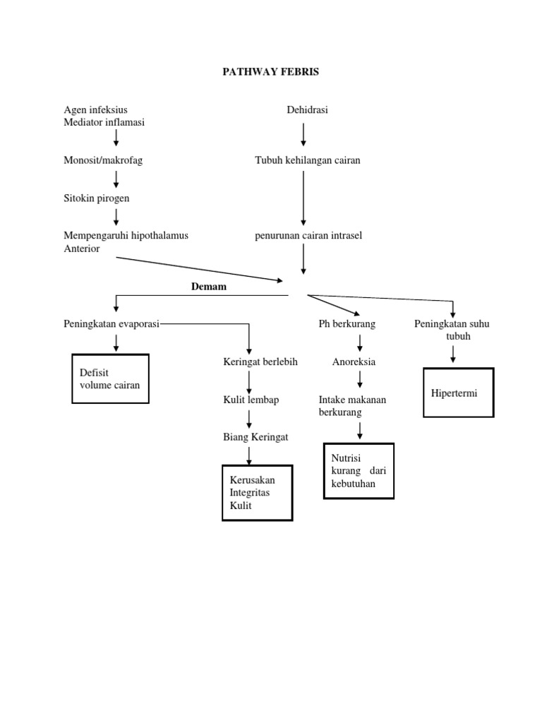 Pathway Febris | PDF