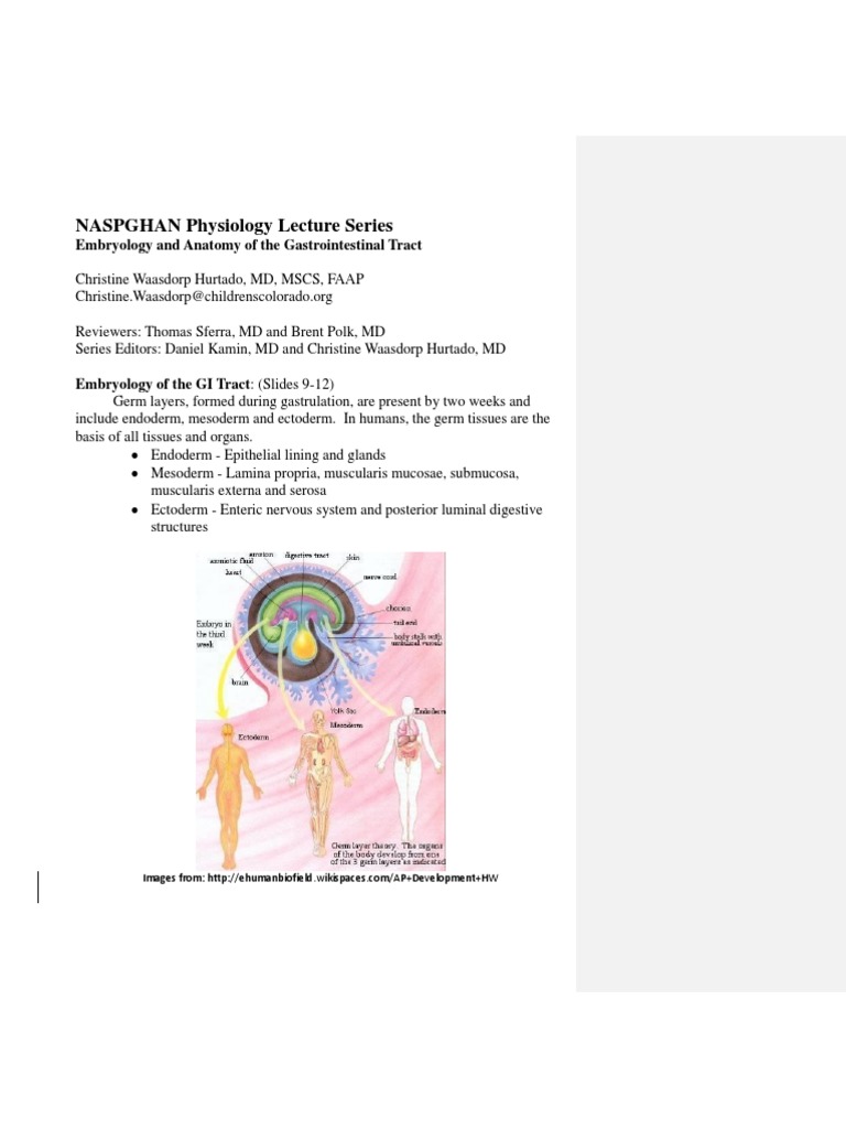 Embryology and Anatomy of The Gastrointestinal Tract NASPGHAN | PDF ...