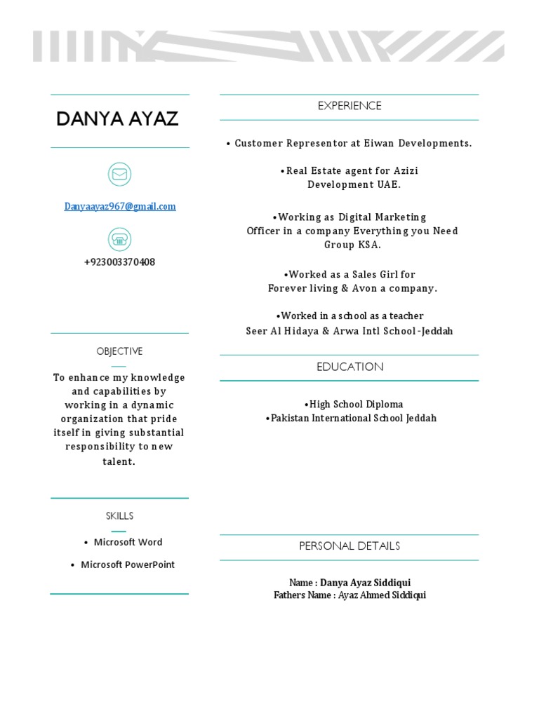 Rozee CV 10293094 Danya Ayaz | PDF