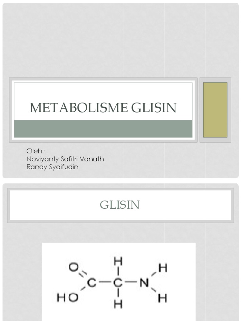METABOLISME GLISIN | PDF