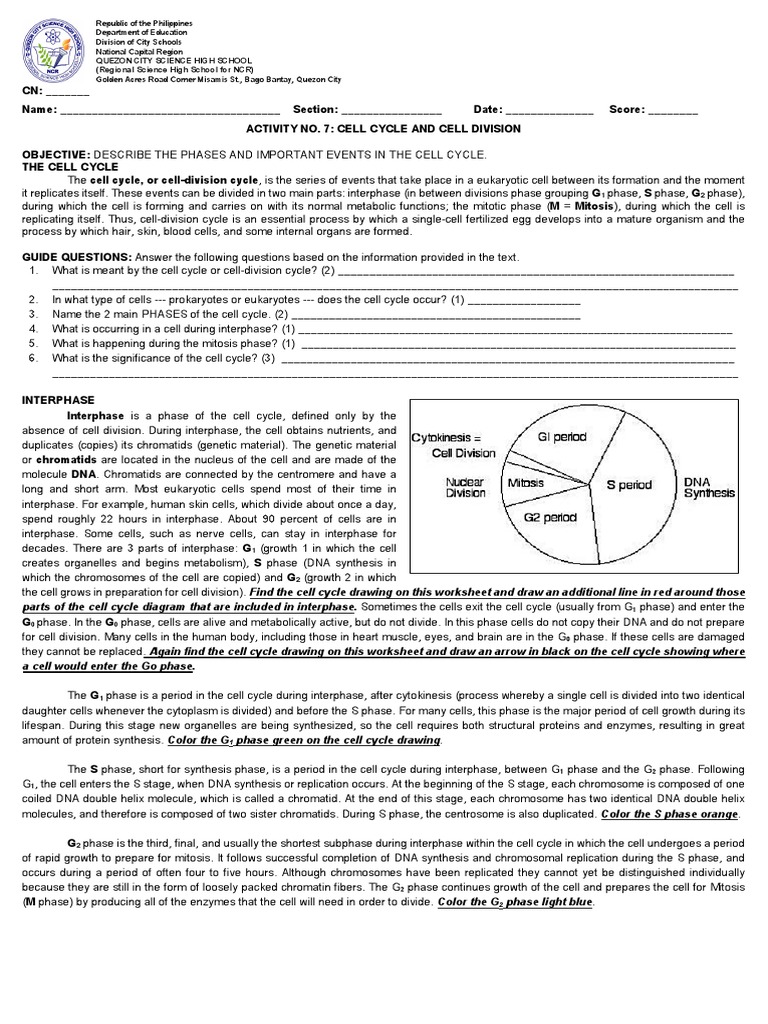 Activity 7 - Cell Cycle & Cell Division PDF | PDF | Mitosis | Cell Cycle