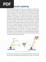 Nano Glo Hibit Lytic Detection System Technical Manual | PDF | Proteins ...