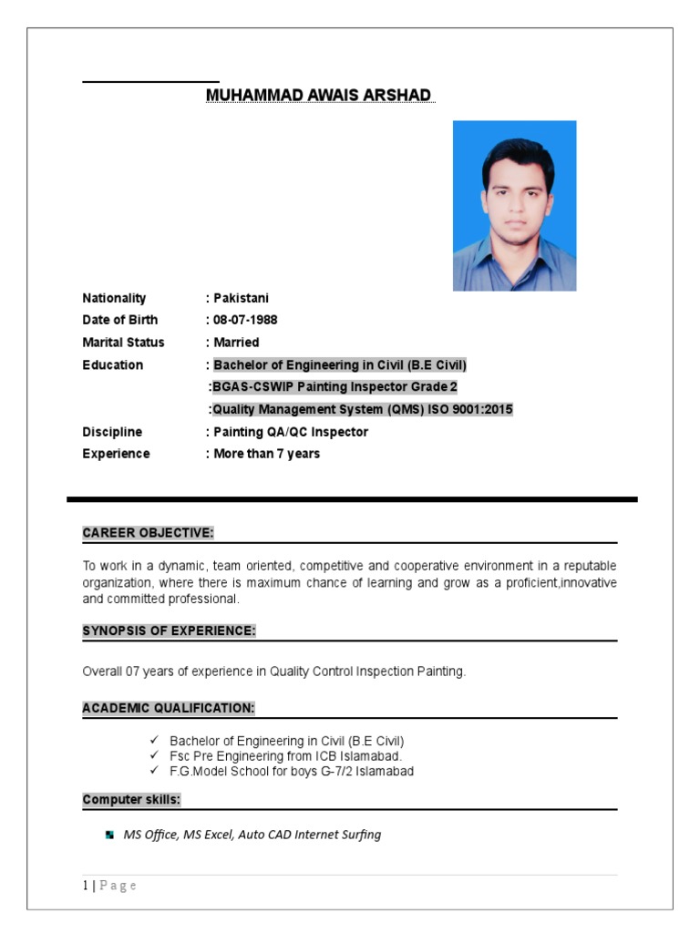 Awais Inspector-Painting | PDF | Verification And Validation | Concrete
