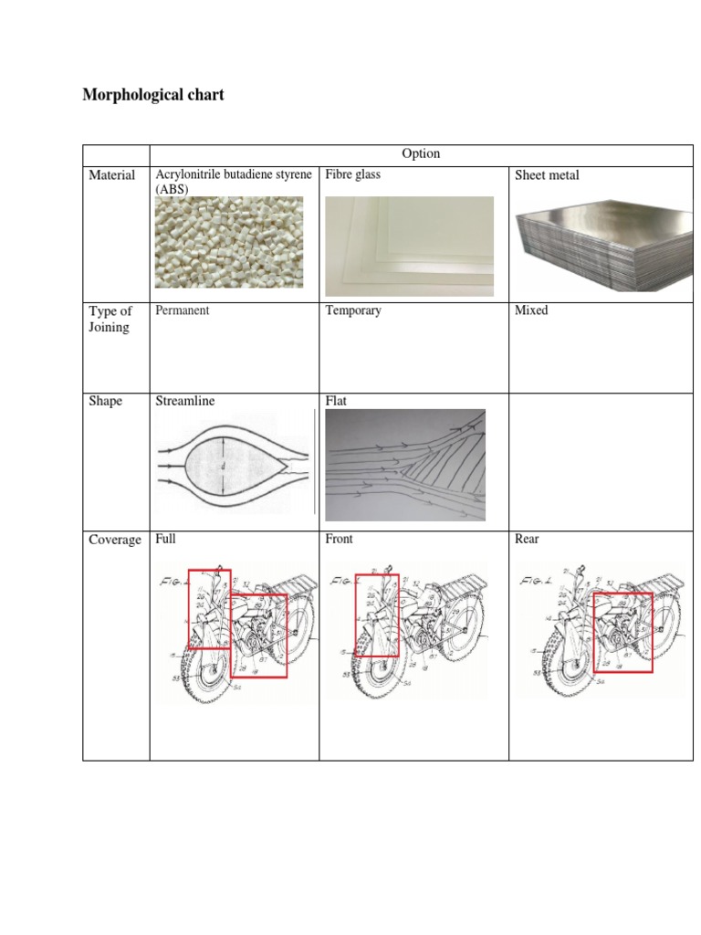 Morphological Chart | PDF