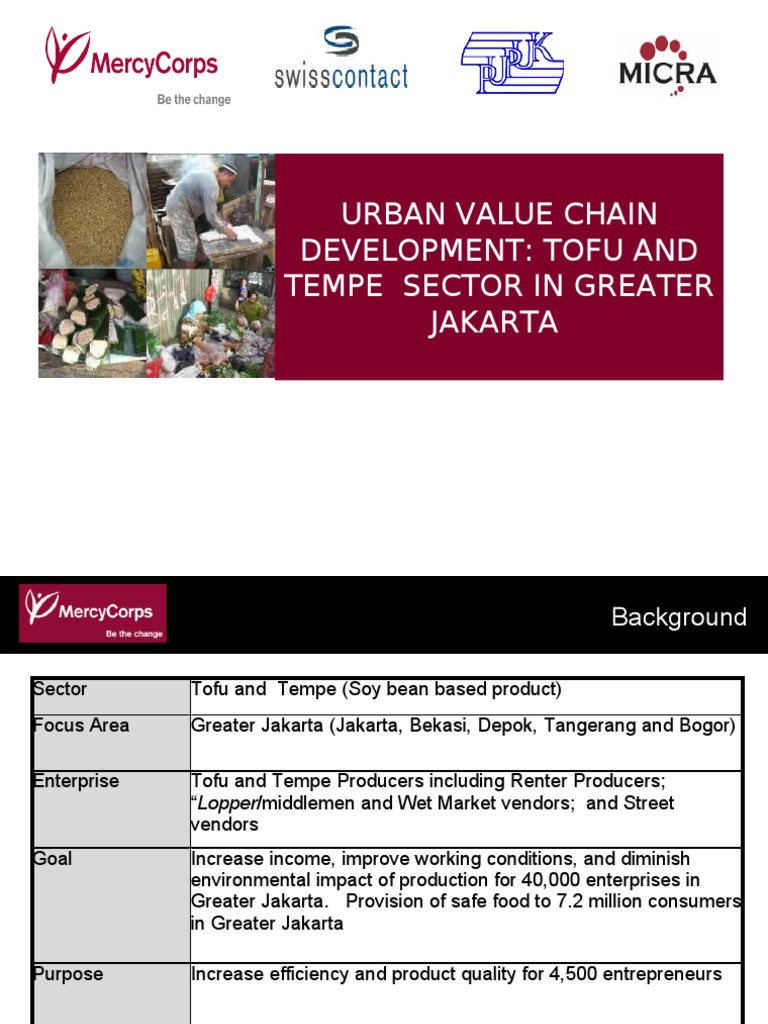 VIP Project PDF Final | PDF | Business | Economies