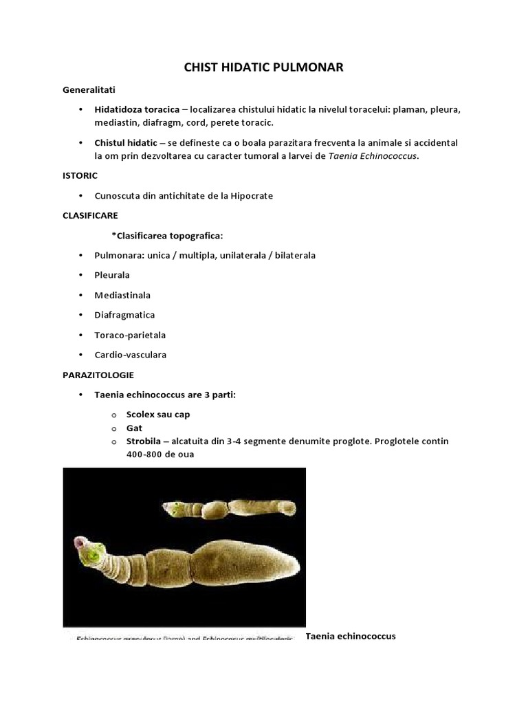 Chist Hidatic Pulmonar | PDF