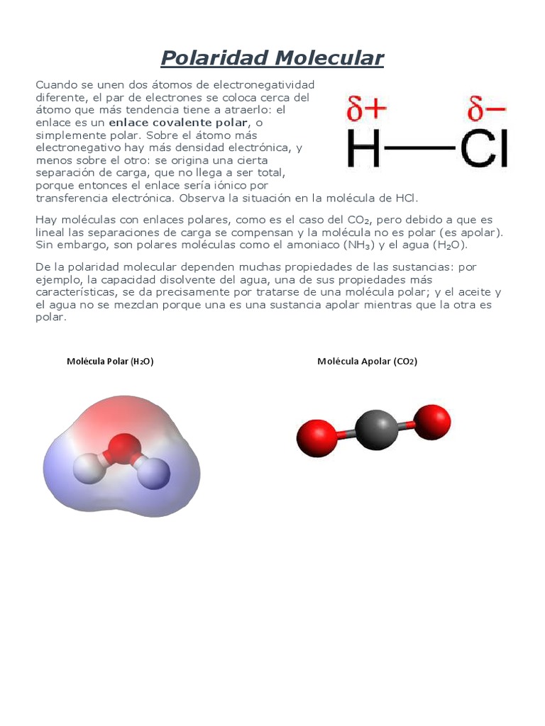 Polaridad de Moléculas: Conceptos Clave | PDF
