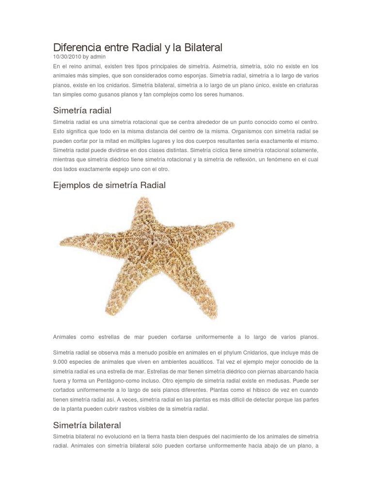 Simetría Radial y Bilateral en Animales | PDF | Simetría | Organismos