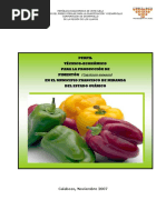 Proyecto de Locote en Paraguay | PDF | Pimiento | Economias