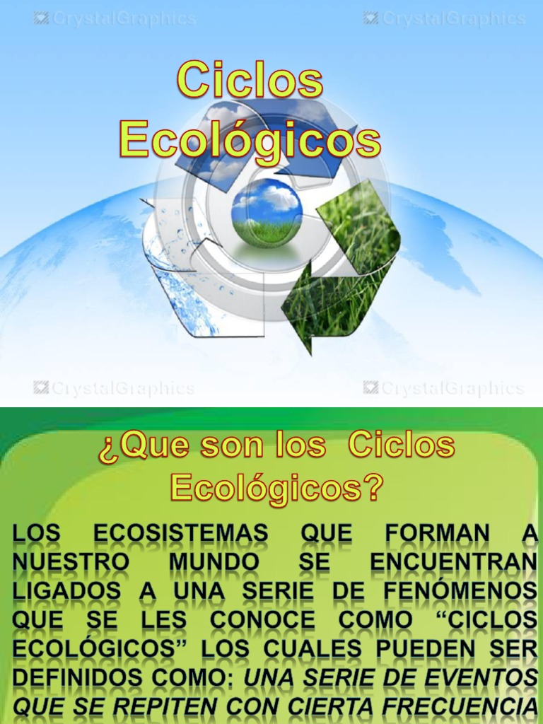 Ciclos Ecologicos | PDF | El ciclo del agua | Azufre
