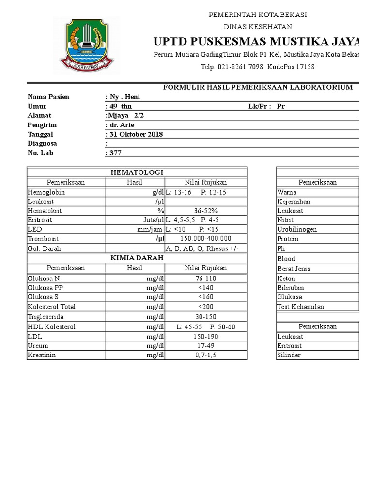 Format Hasil Lab | PDF