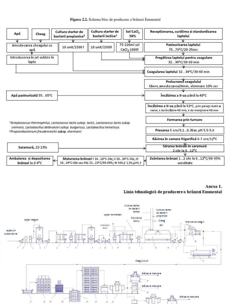 Schema Bloc | PDF