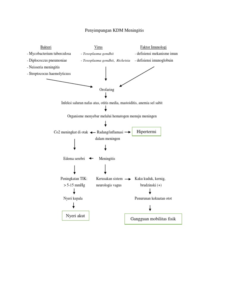 Pathway Meningitis | PDF