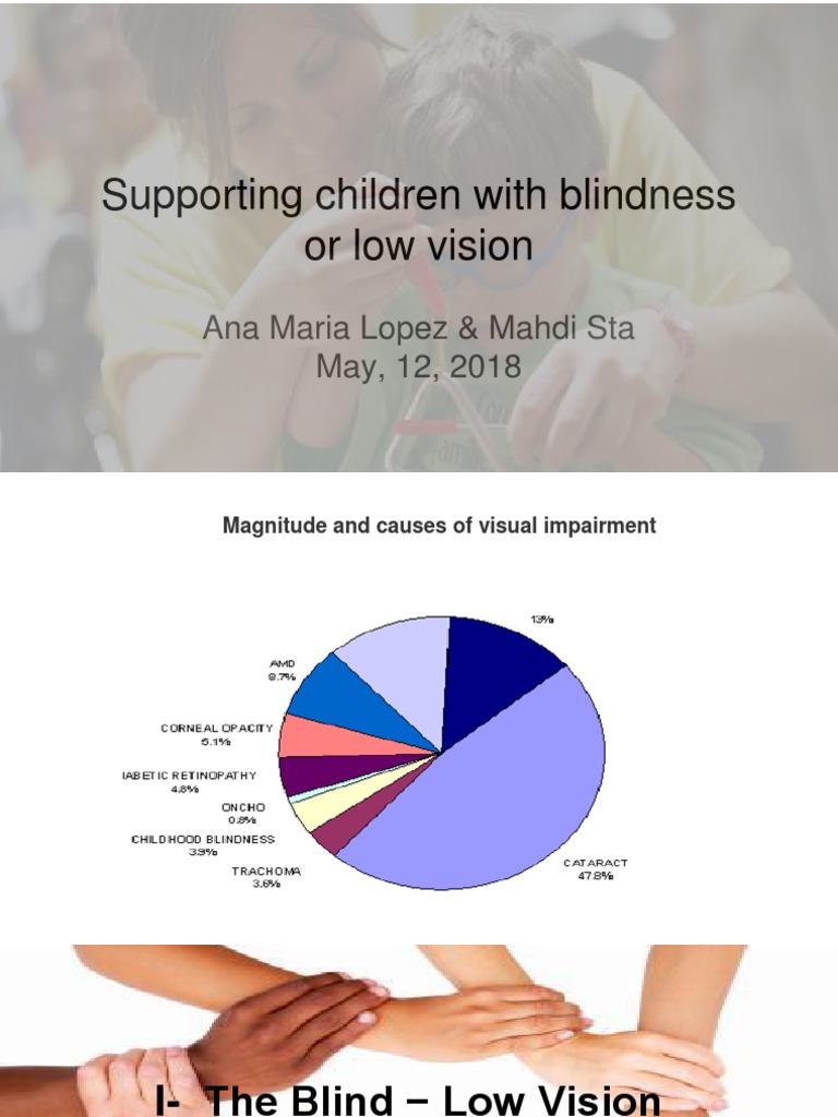 How To Teach A Blind Child | PDF | Visual Impairment | Imitation