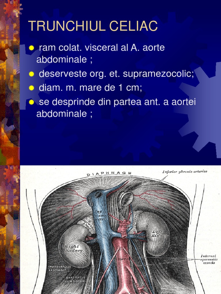 Trunchi Celiac | PDF