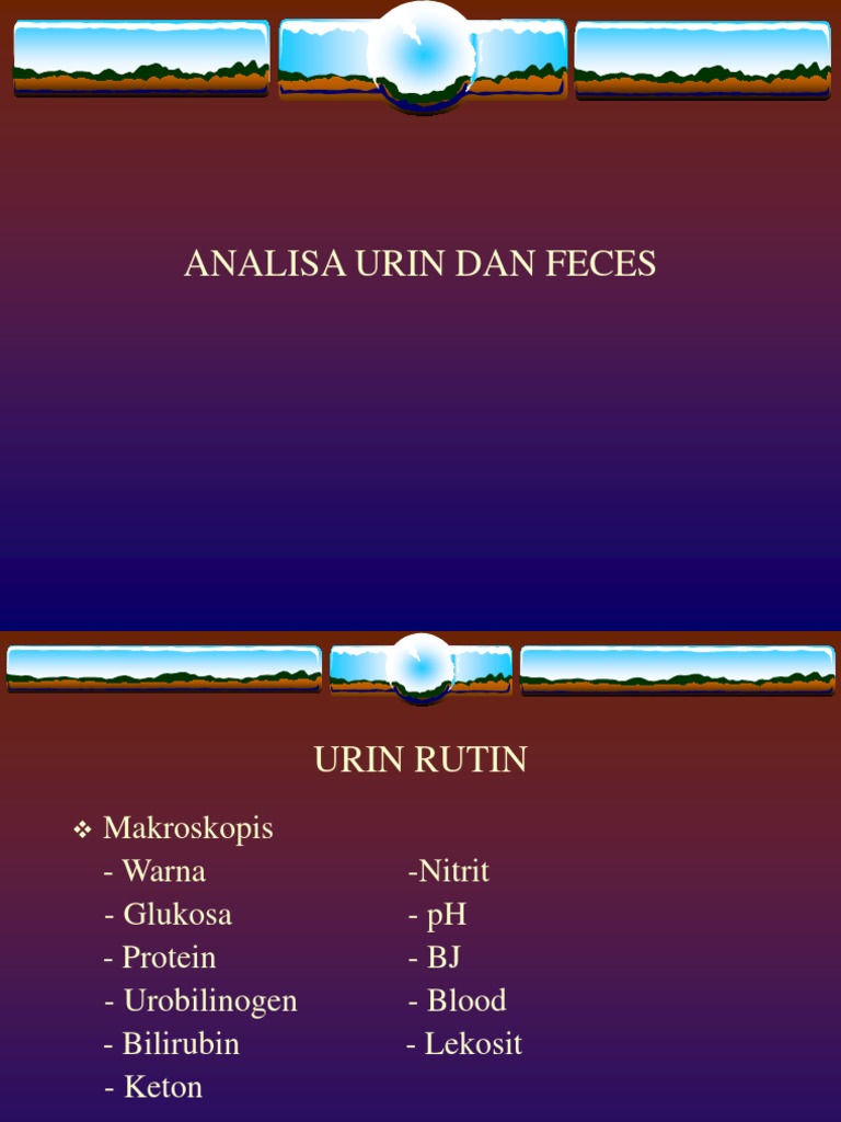 Analisa Urin dan Feses: Panduan Lengkap | PDF