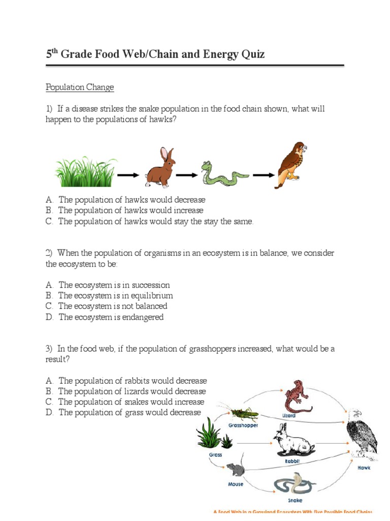 Food Web-Energy Quiz | PDF | Food Web | Herbivore