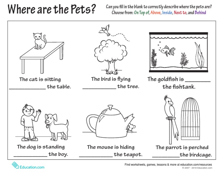 Grammar Games Prepositions of Place Worksheet | PDF | Paravians | Birds