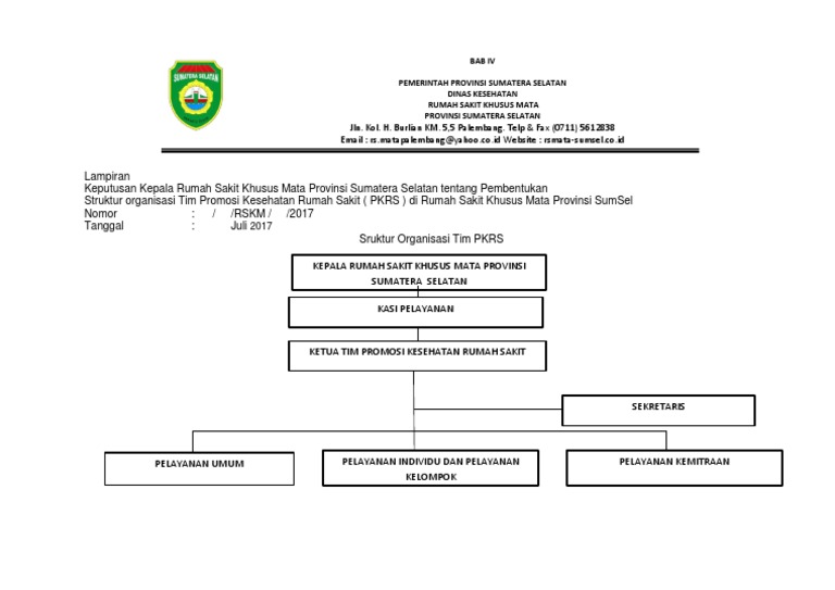 Contoh Struktur Tim PKRS | PDF