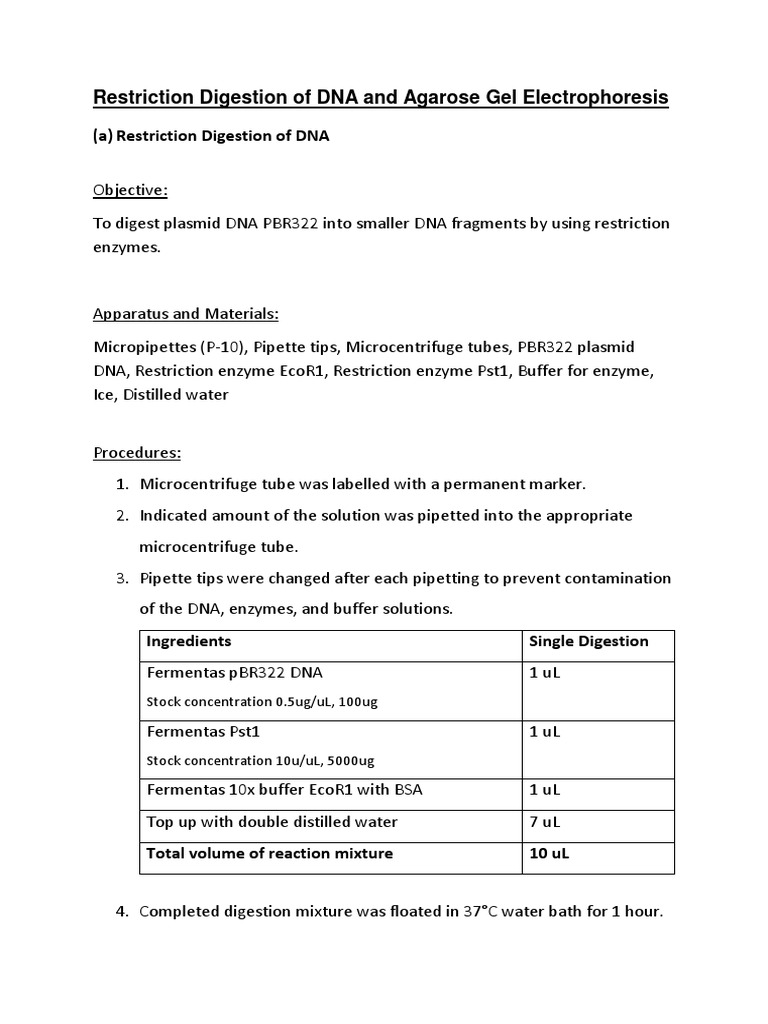 Agarose Gel Electrophoresis [Full Report] | Gel Electrophoresis ...