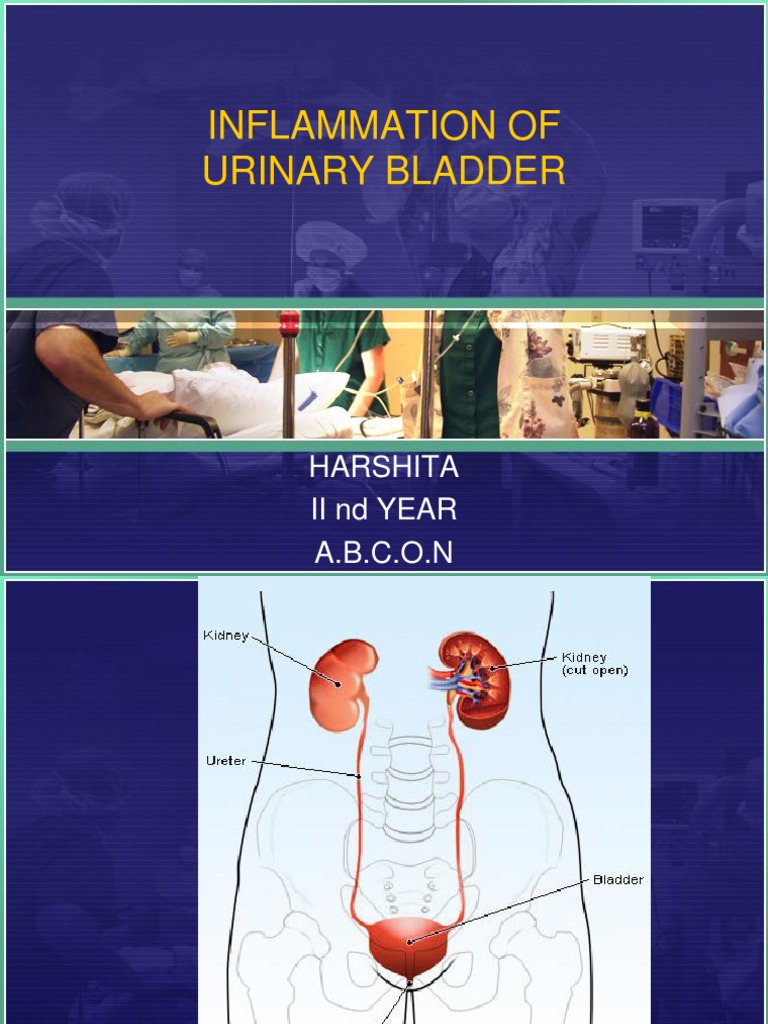 Inflammation of Urinary Bladder: Harshita Ii ND Year A.B.C.O.N | PDF ...