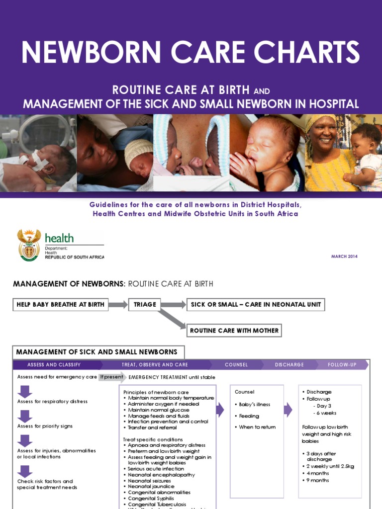 Newborn Care Charts Guide Routine Care and Management | PDF ...