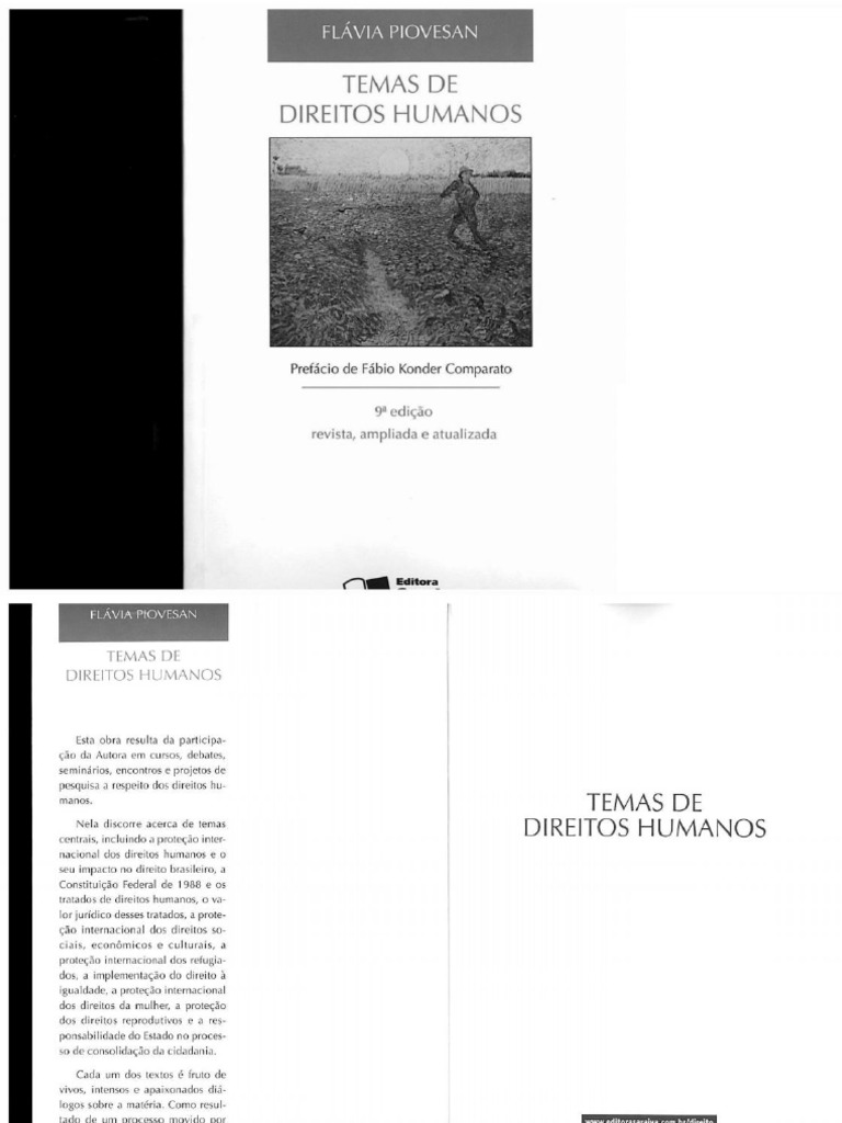 LIVRO - FLÁVIA Piovesan-2016 PDF | PDF | Direitos Humanos | Constituição