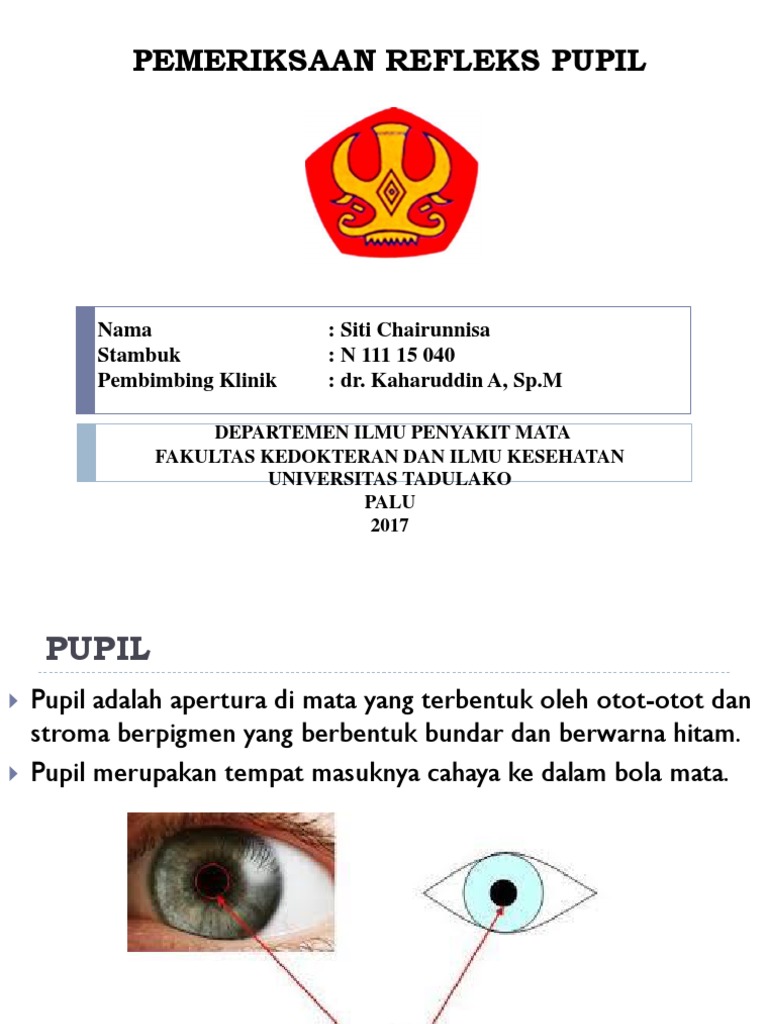 Pemeriksaan Refleks Pupil dan Ukuran Normal | PDF