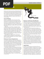 Snake Awareness Toolbox Talk | PDF | Snake