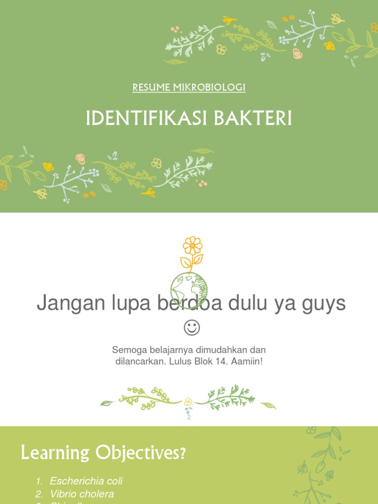 Identifikasi Bakteri | PDF