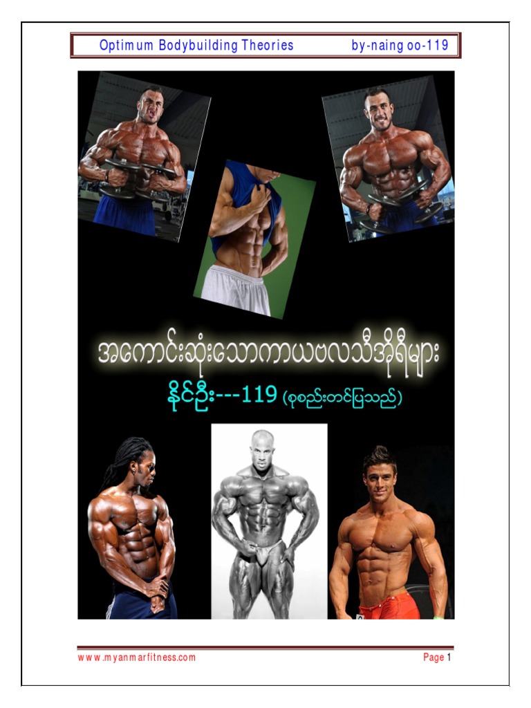 Optimum Bodybuilding Theories PDF | PDF