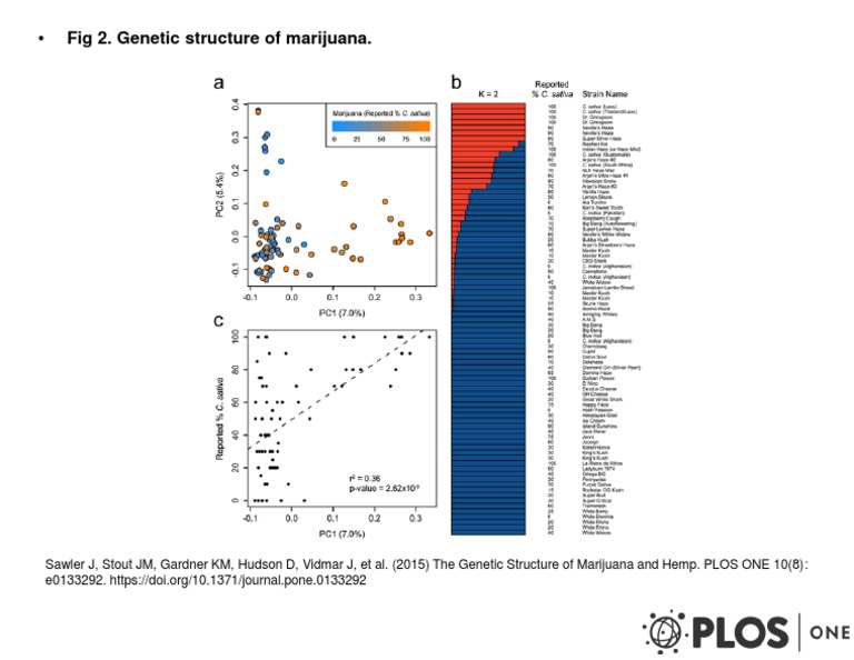 Fig 2. Genetic Structure of Marijuana | PDF