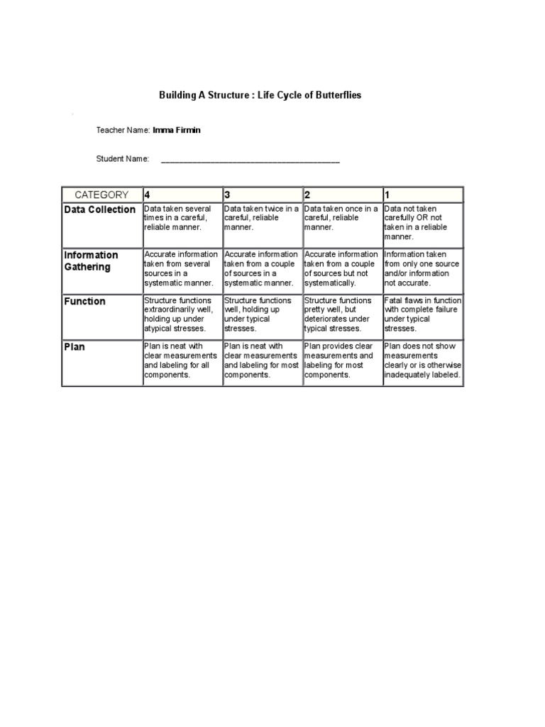 Butterfly Life Cycle Project Rubric | PDF