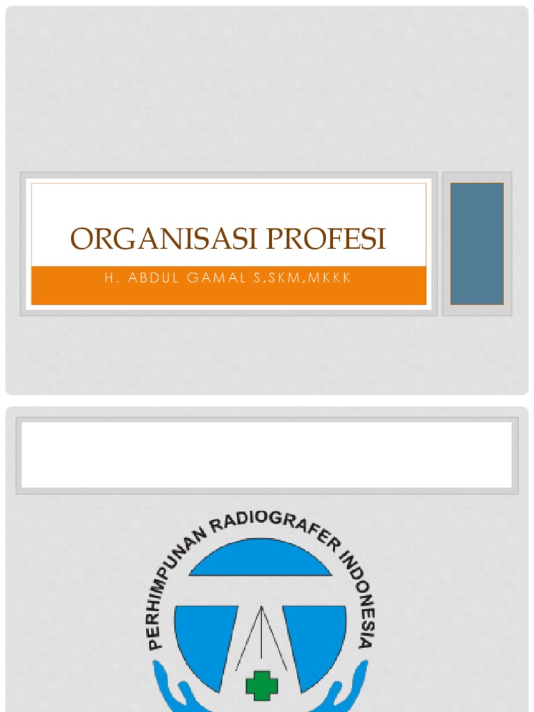 Organisasi Profesi | PDF