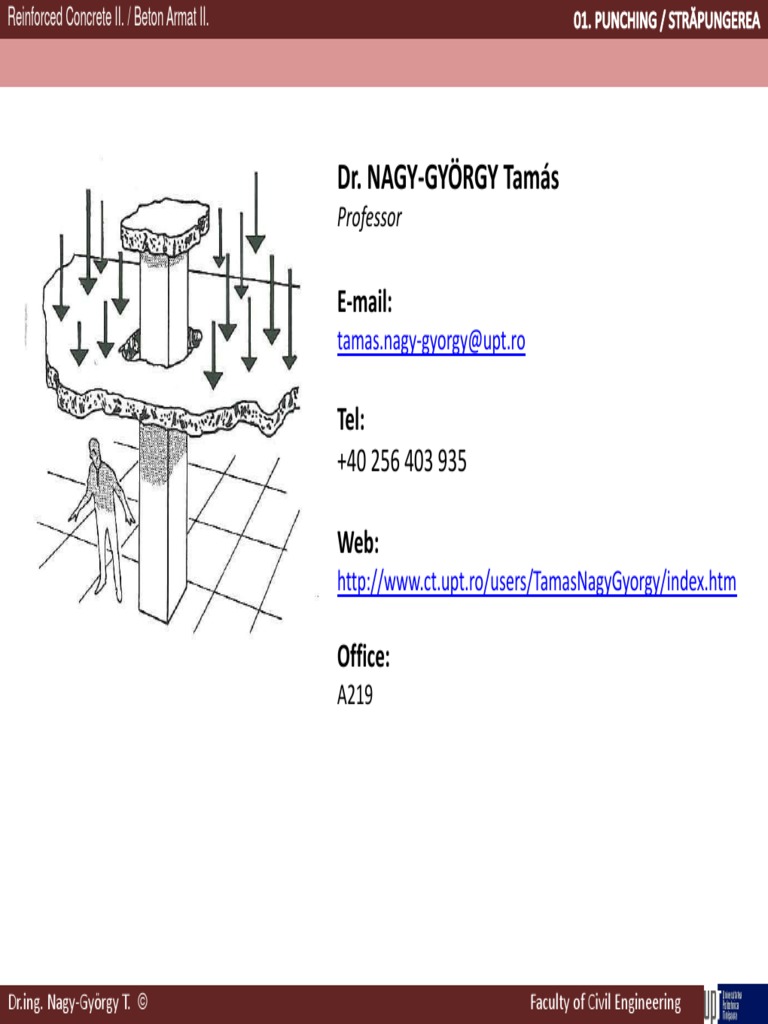 Statica Constructiilor-Structuri Static Determinate-Indrumator Pentru Lucrari | PDF | Column ...