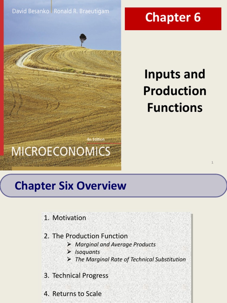 Chapter 6 | PDF | Production Function | Labour Economics