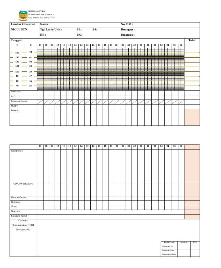 Lembar Observasi PERINA | PDF