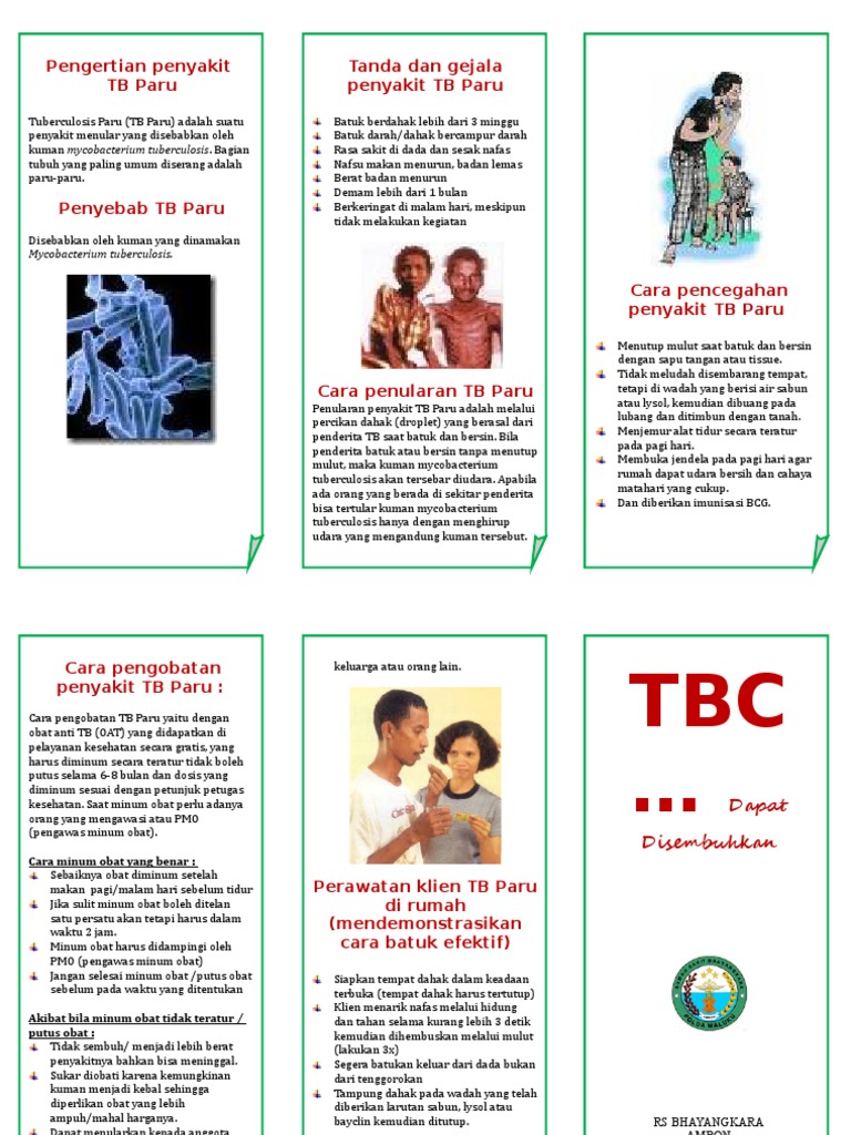 Informasi Penyakit TB Paru dan Pencegahannya | PDF