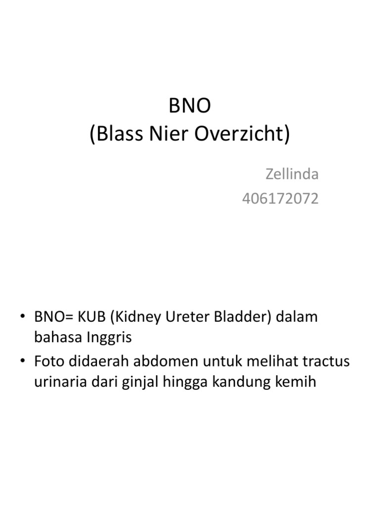 BNO (Blass Nier Overzicht) : Zellinda 406172072 | PDF