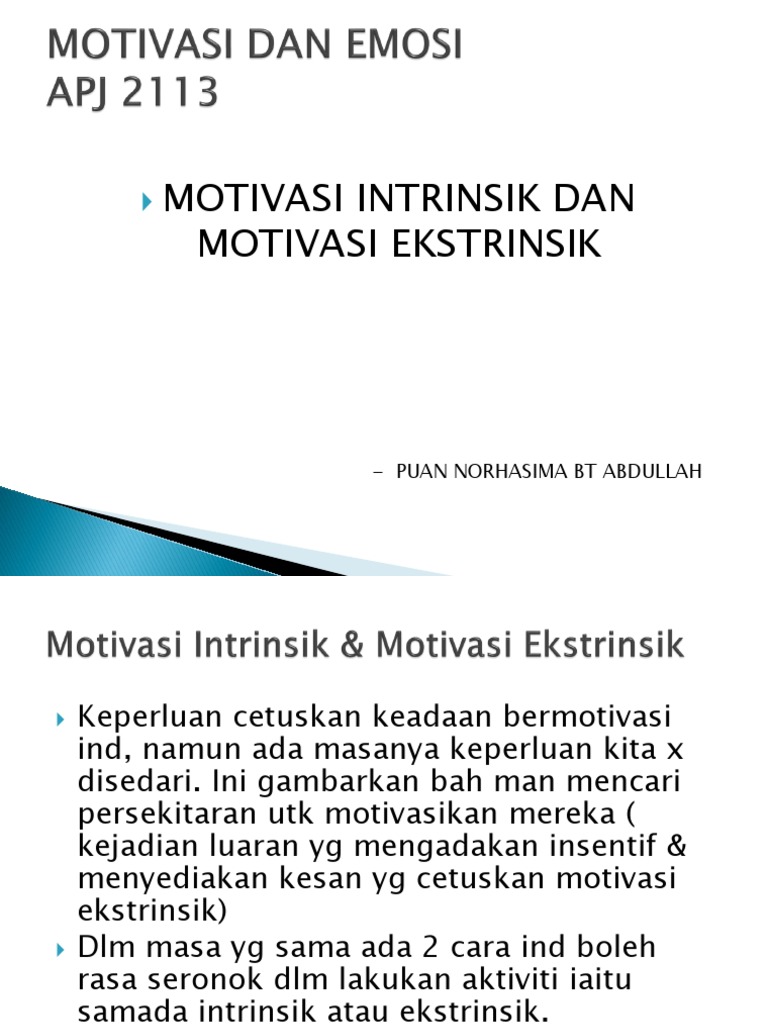 Motivasi Intrinsik & Motivasi Ekstrinsik | PDF