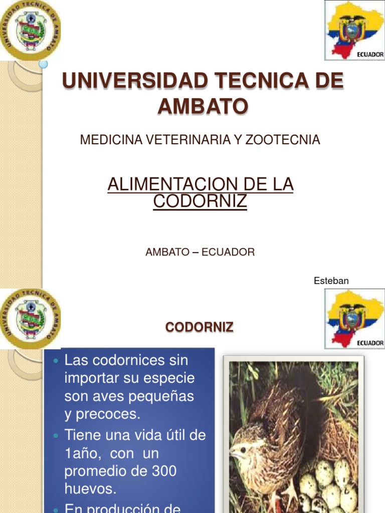 Alimentación y nutrición de codornices | PDF | Digestión | Huevo como ...