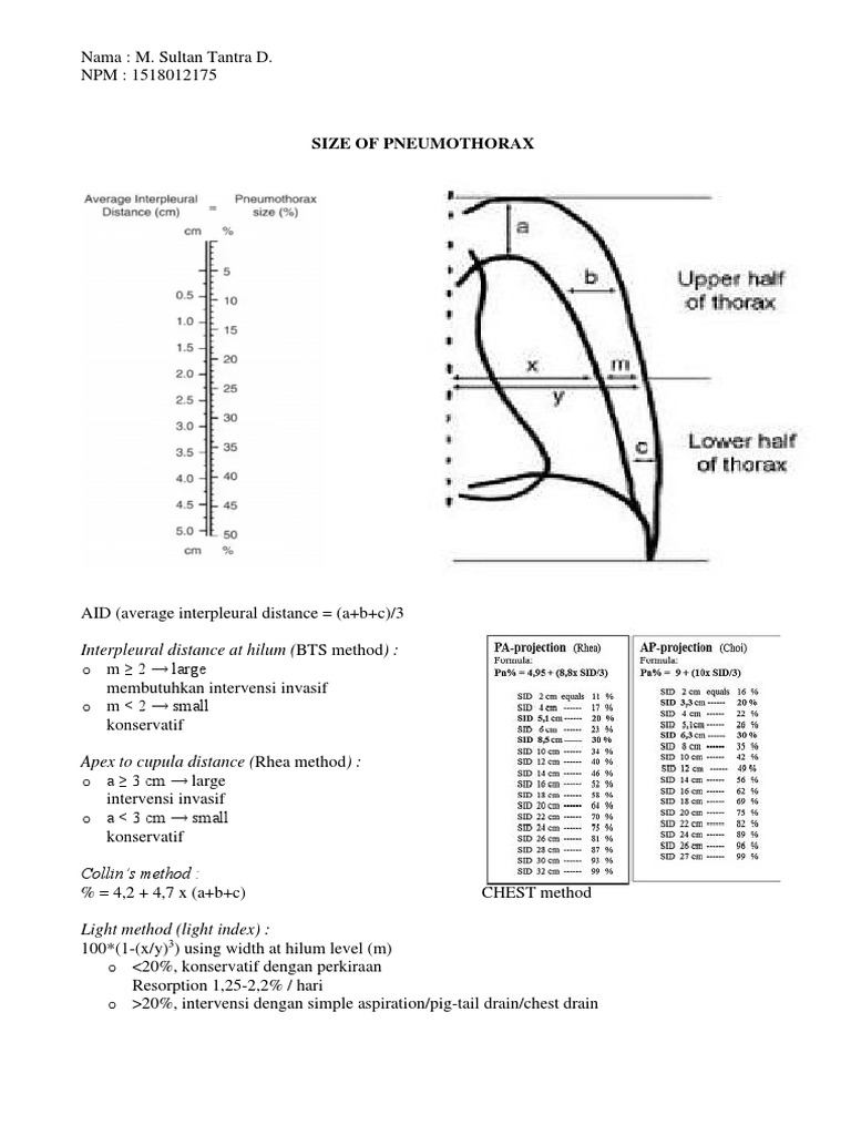 Ukuran Pneumothorax | PDF