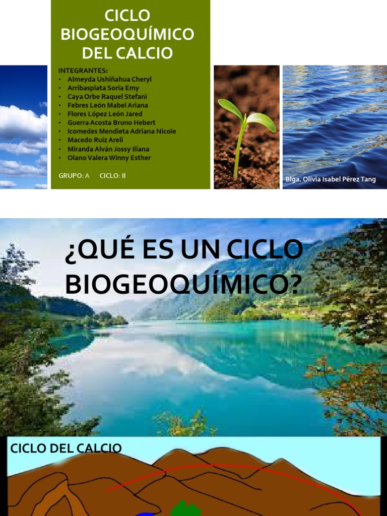 Ciclo Biogeoquímico Del Calcio | PDF | Ciencias de la Tierra | Entorno natural